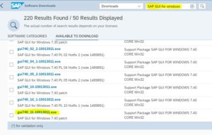 Descargar y configurar frontend SAP GUI - SAP